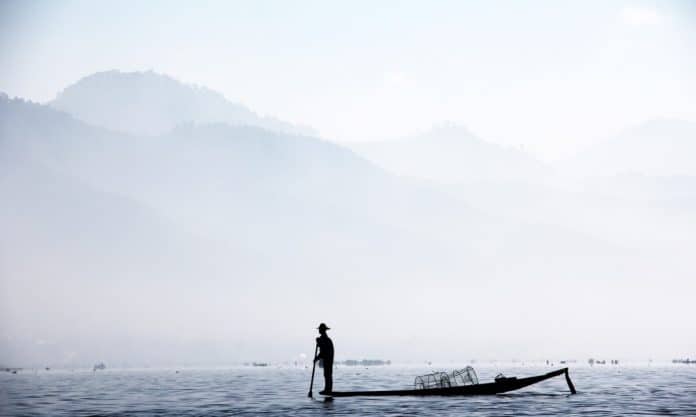 Zdrowy jak ryba - co to znaczy? Fundamental